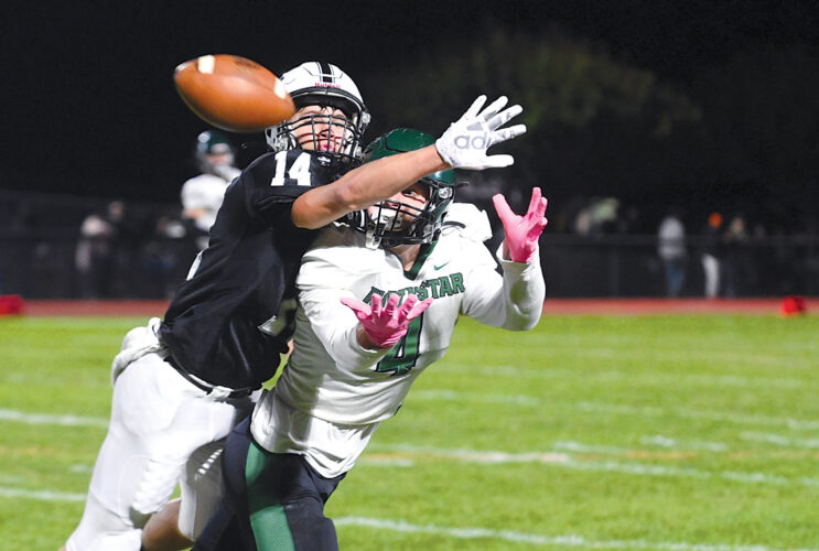 Unbeaten Panthers stage rally, prevail in final seconds | News, Sports ...
